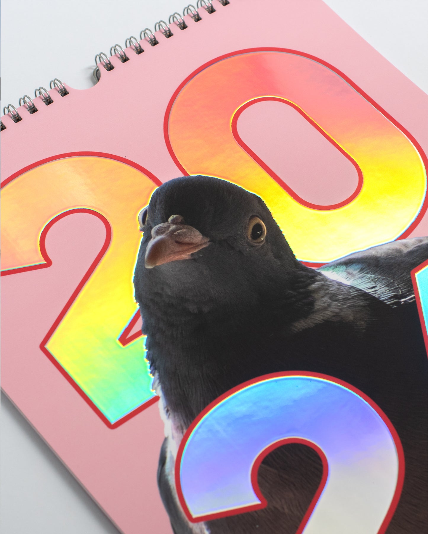 Wall Calendar 2026 - Pigeon edition. – Hoo Hoo Supply